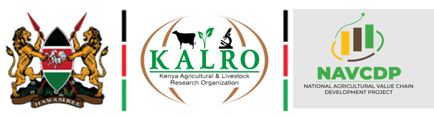 Login - Survey System